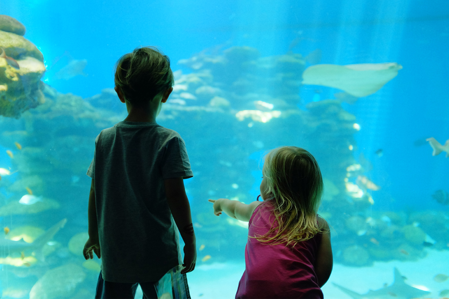 Life Support System Design | Expert Solutions for Aquatic Needs