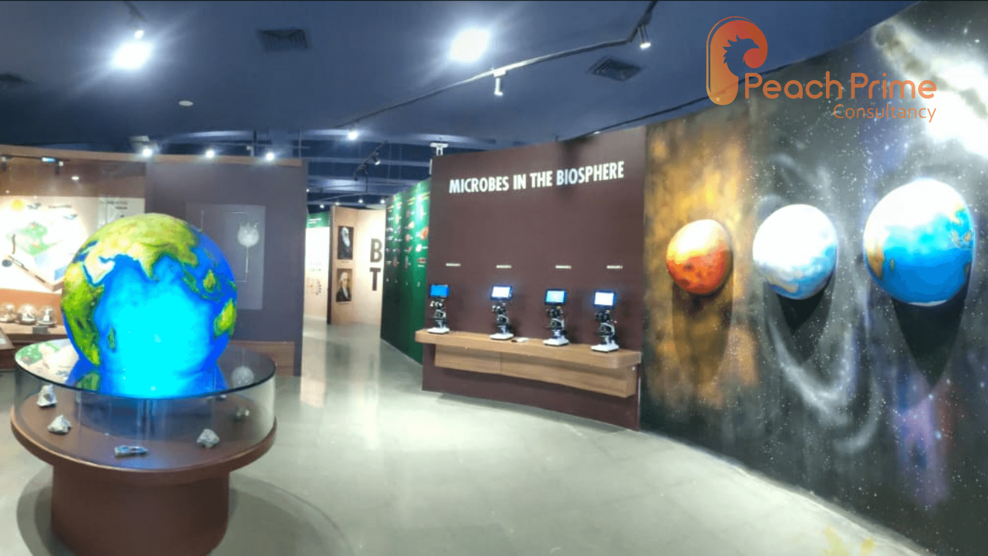 Visitor Experience Design for Museums, Exhibits & Spaces